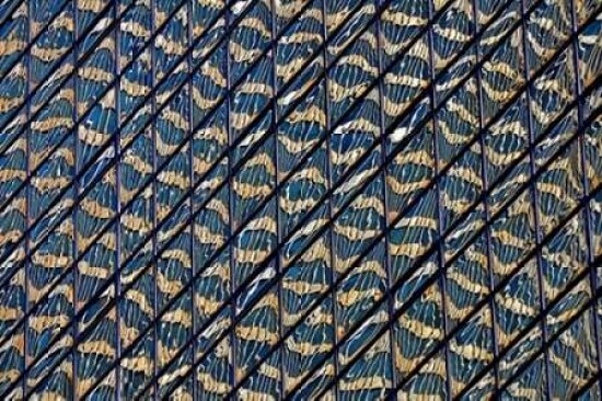 Guilding Poster Print by David Zimbalist | Michaels