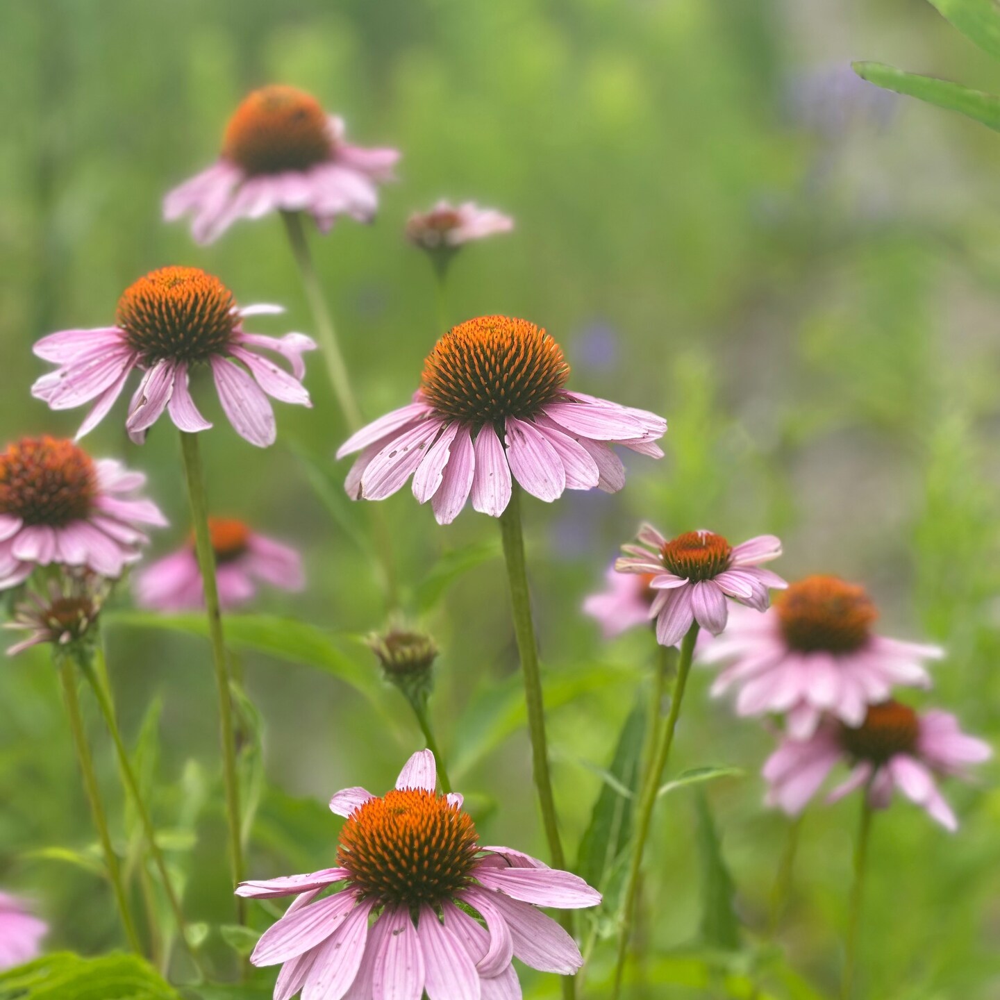 About the Journey | Storefront | Michaels