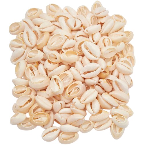 Elegant Cowrie Seashells 150 pcs | Michaels
