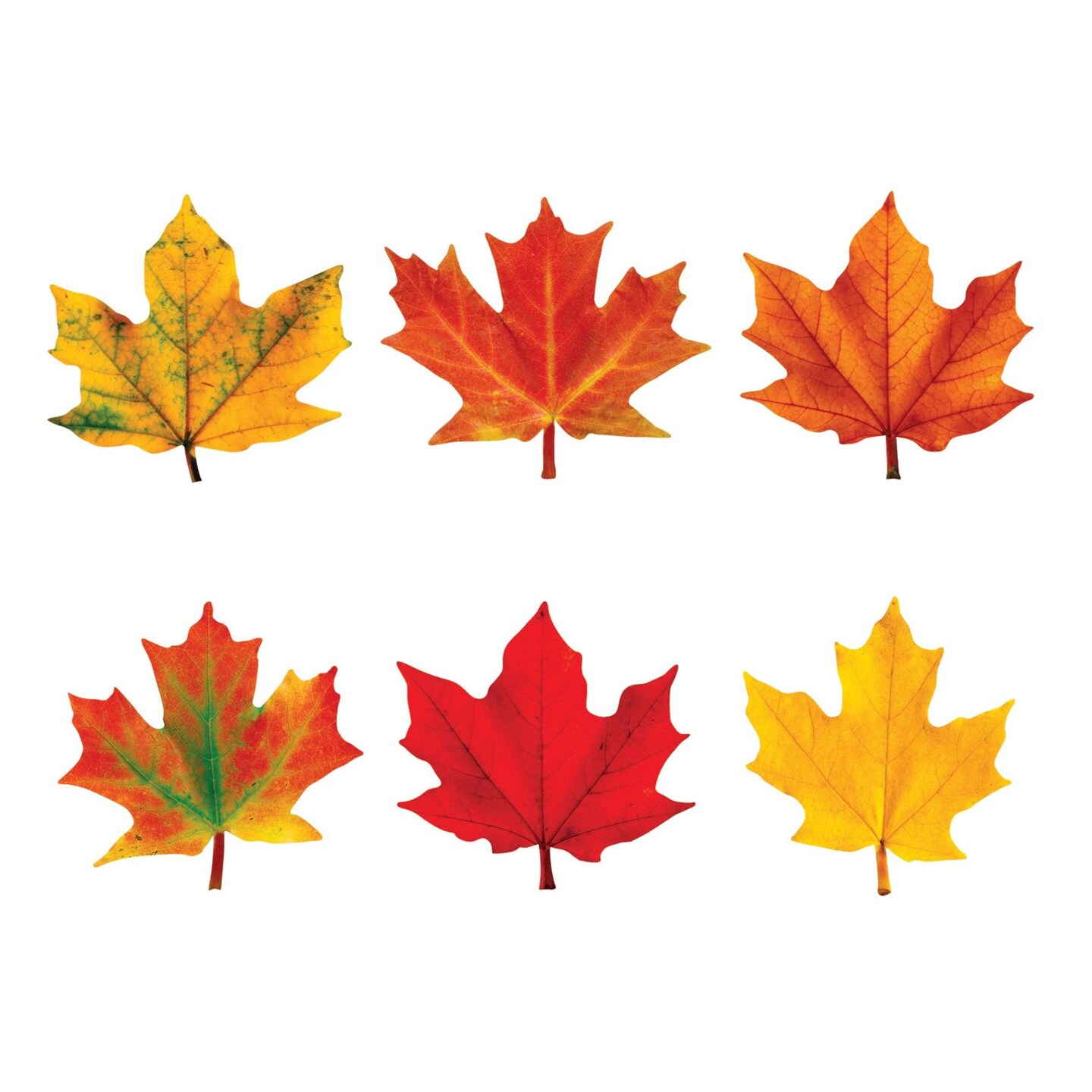 Maple Leaves Mini Accents Variety Pack, 36 Per Pack, 6 Packs | Michaels