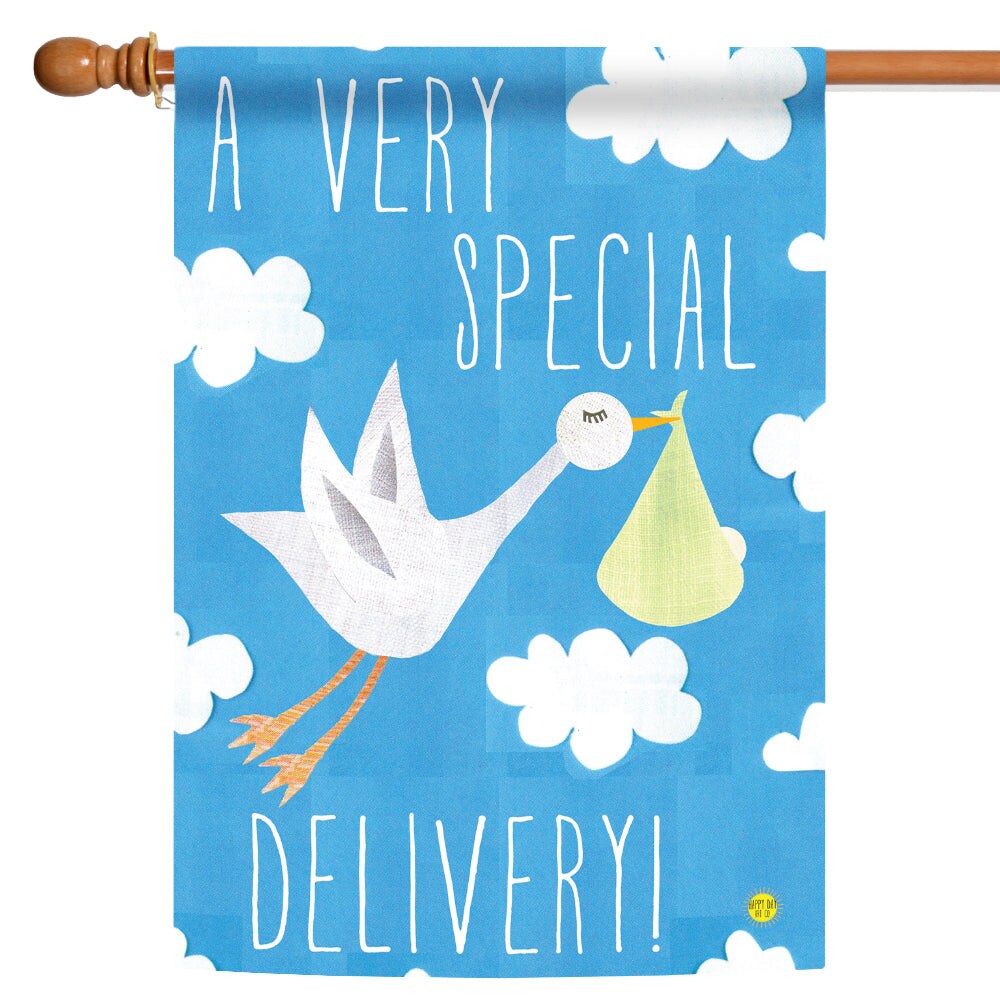 Special Delivery-Boy Decorative Baby Boy Flag | Michaels