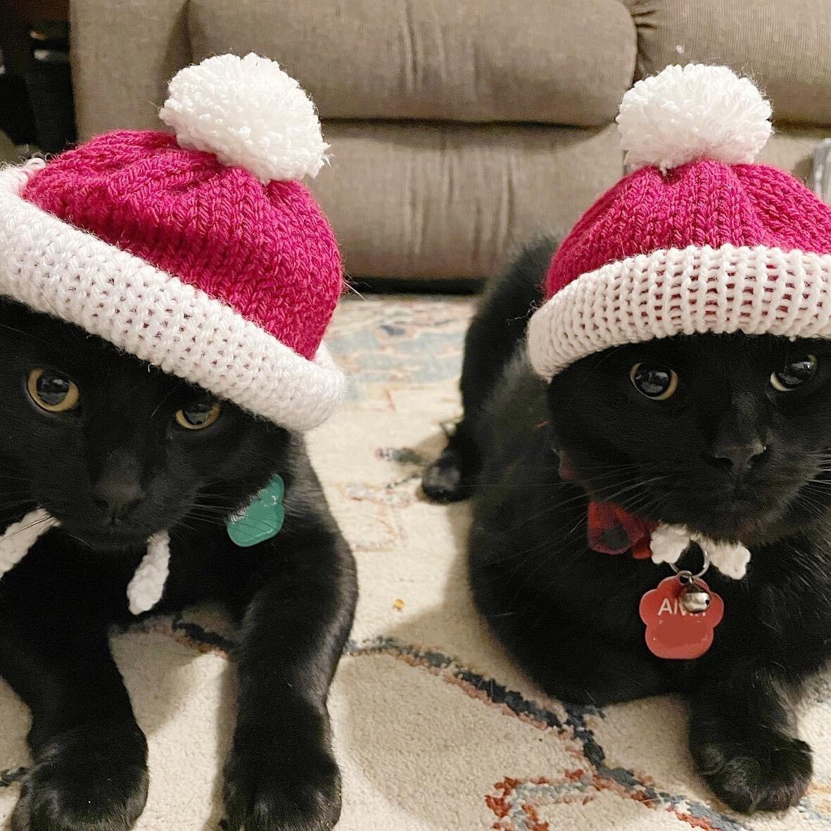 Tangled Yarn | Storefront | Michaels