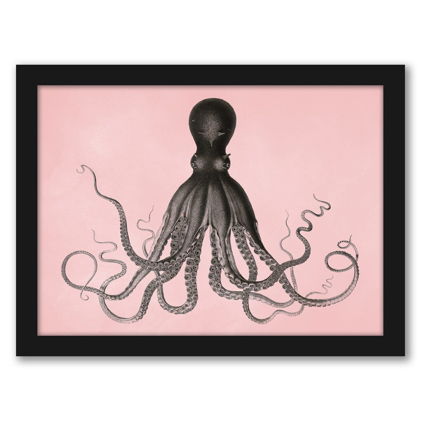 Mil Pink Choco Octo by Coastal Print & Design Frame - Americanflat ...