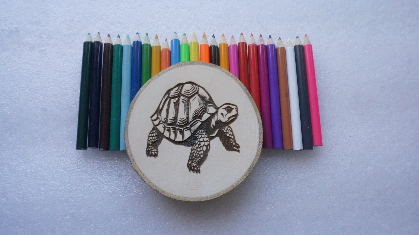 Color your own tortoise wood slice craft kit, comes with colored ...