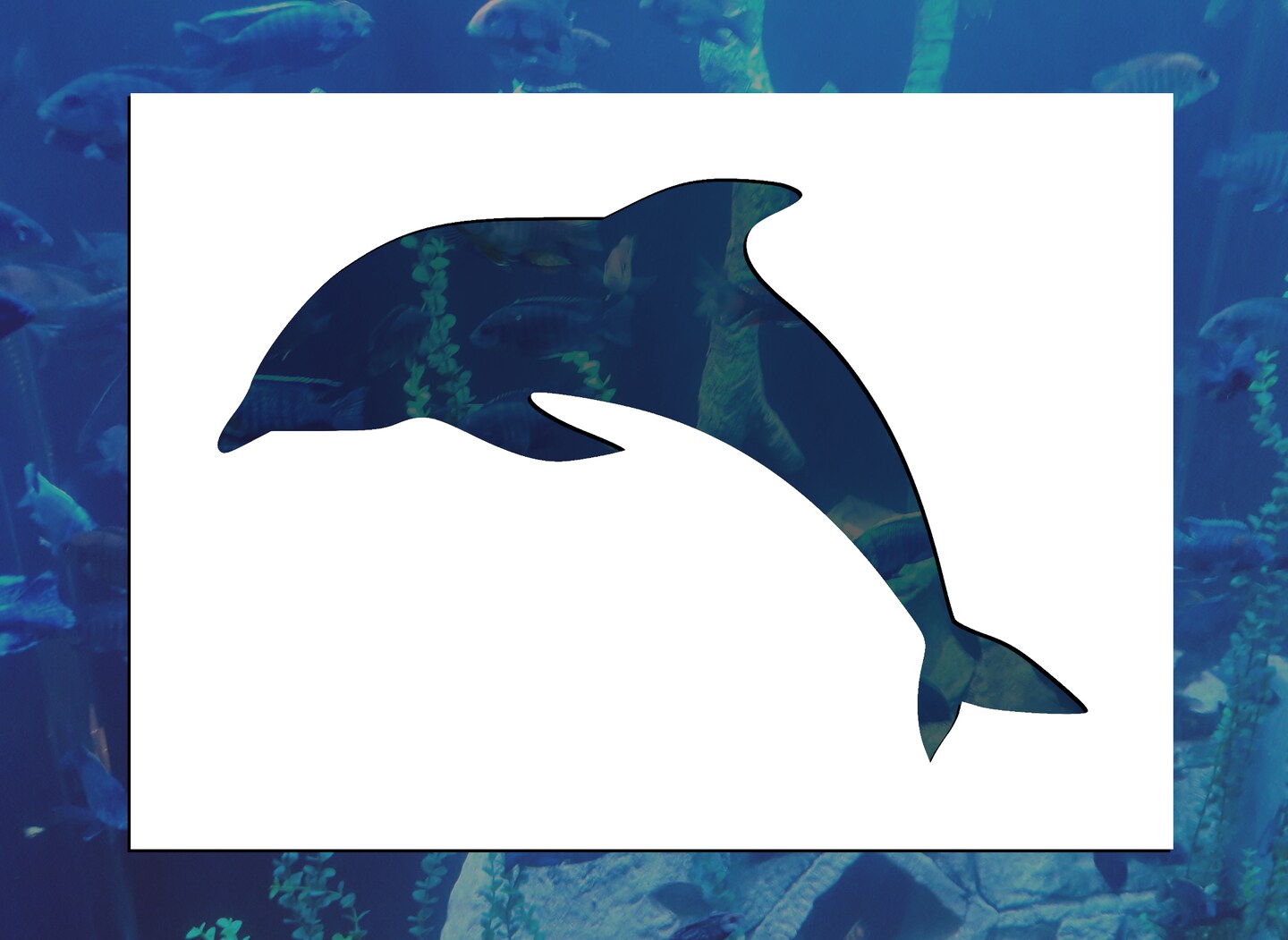 Dolphin Reusable Stencil (Many Sizes) | MakerPlace by Michaels