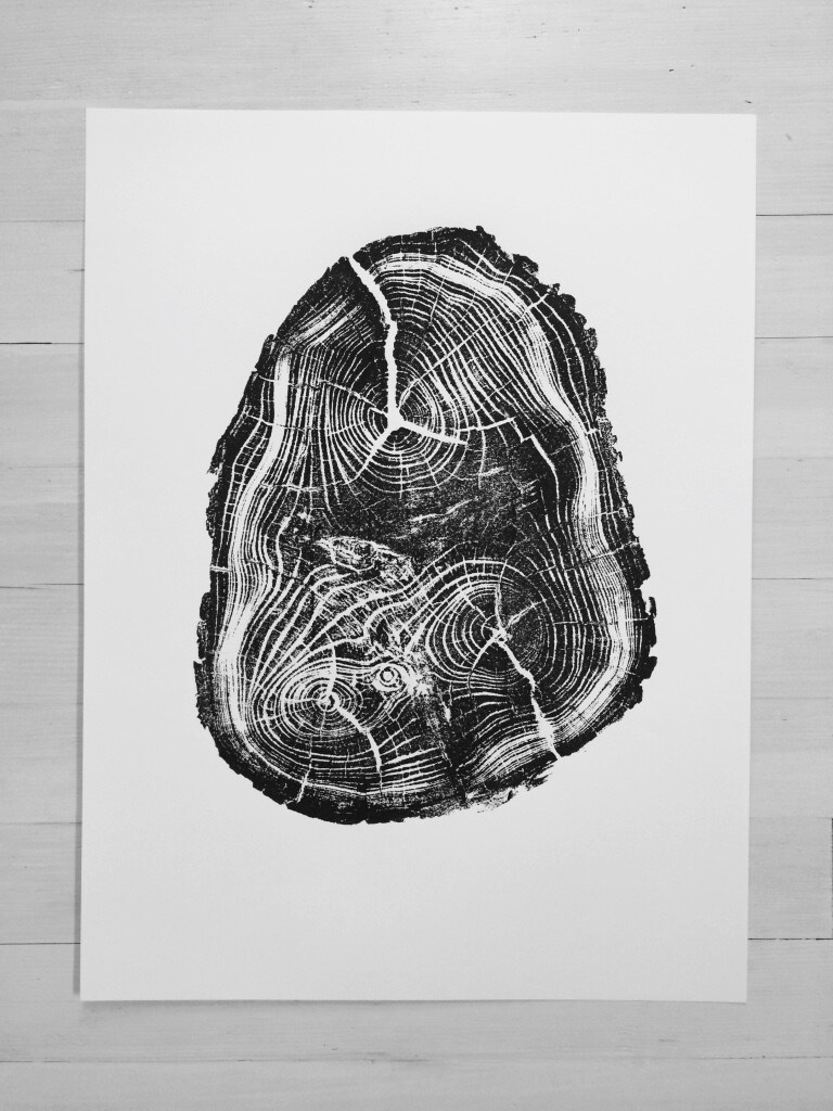 Locust Tree, Tree Anatomy, Botanical tree print, real tree stump art ...