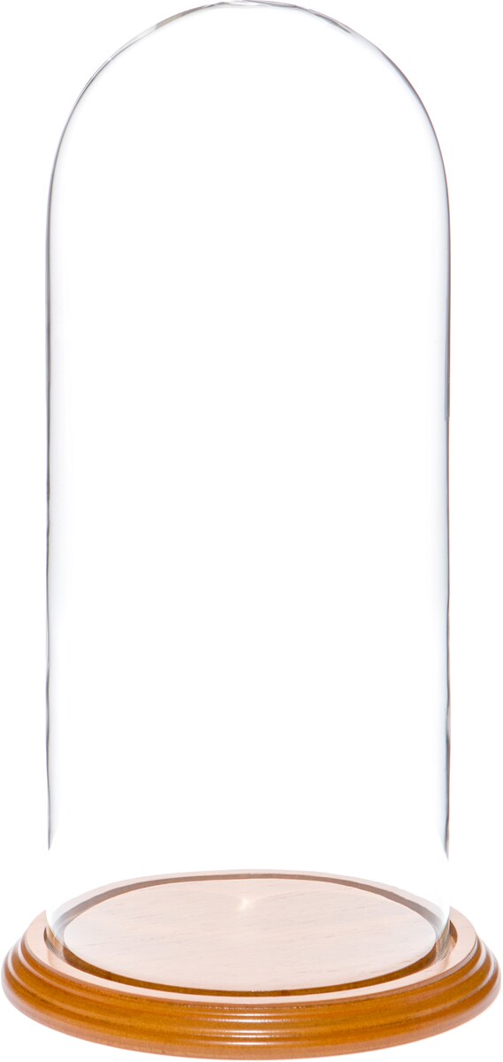 Plymor 5.5" x 13" Glass Display Dome Cloche | Michaels