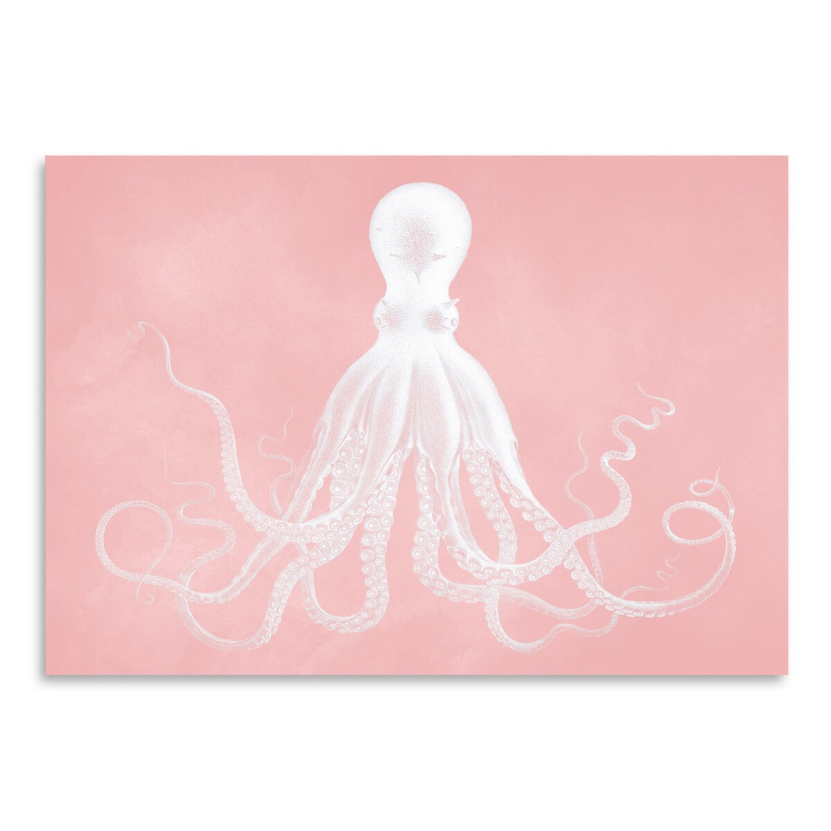 Millenial White Octo by Coastal Print & Design Poster Art Print ...