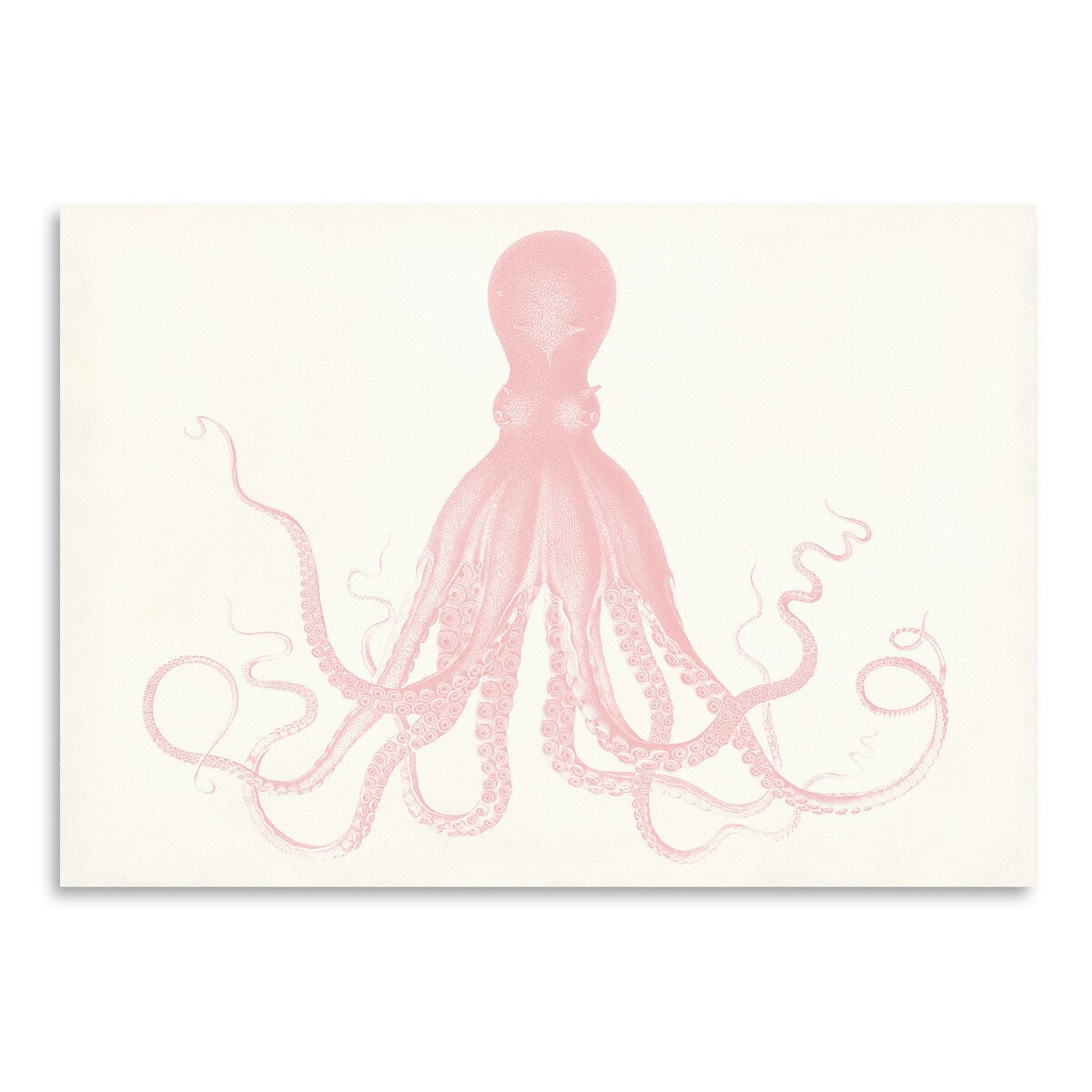 Quartz Pink Octo by Coastal Print & Design Poster Art Print ...
