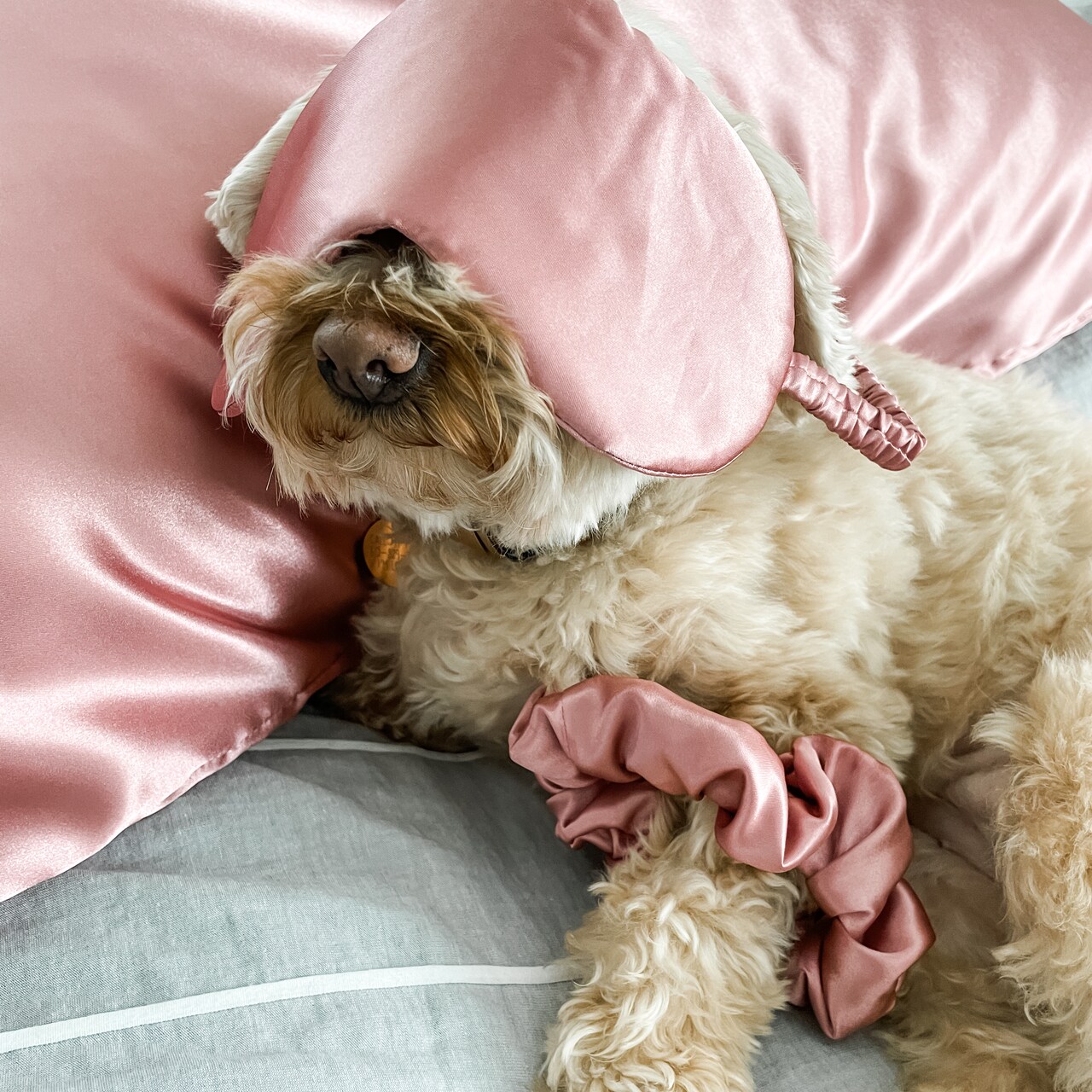 SINGER® PROJECTS Satin Self-Care Kit | Classes | Michaels