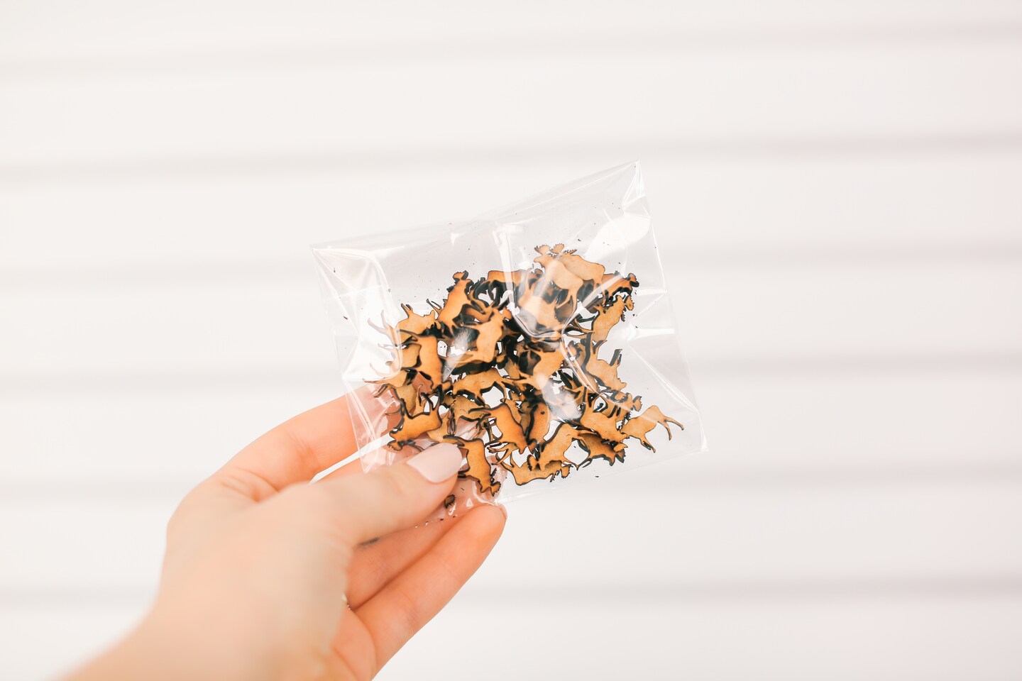 Moose Confetti, Animal Confetti, Wooden Confetti, Rustic Party Confetti ...