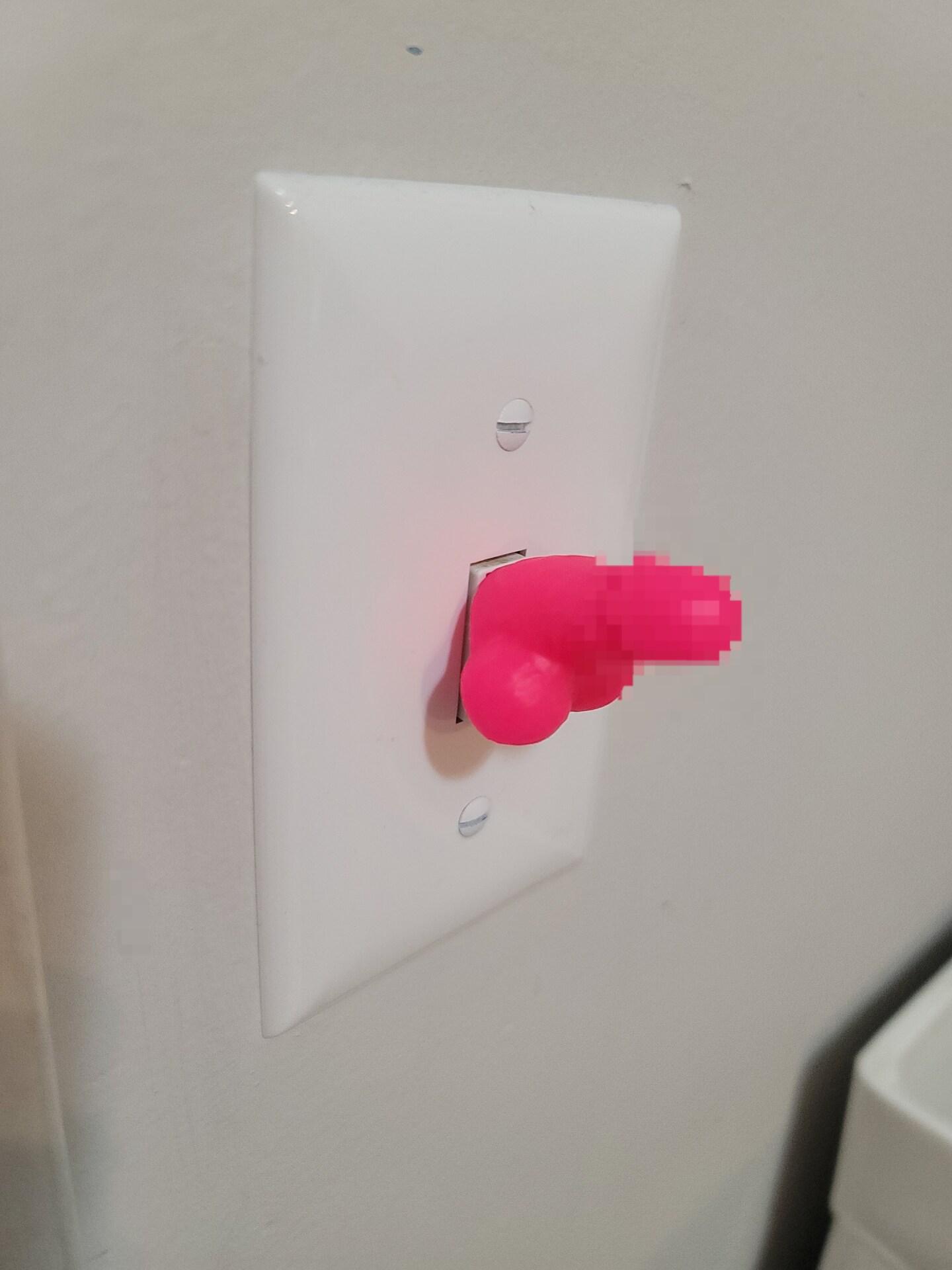 Hung Like a Light Switch Bachelorette Decoration and Prank | MakerPlace ...