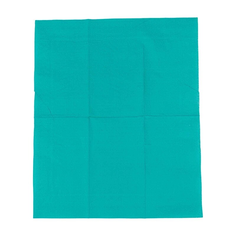 50 Plain Soft 2 Ply Dinner Table Cocktail Paper NAPKINS | Michaels