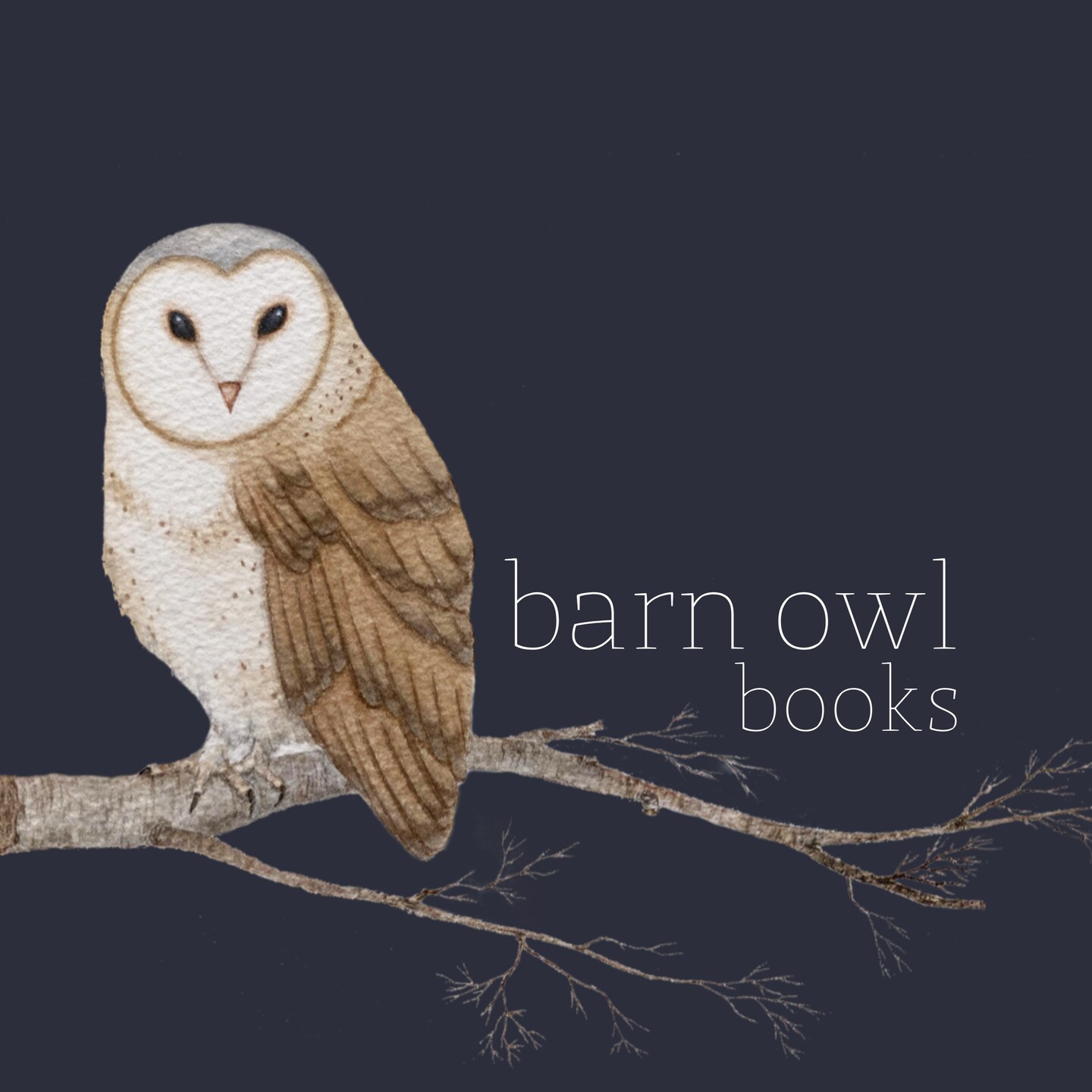 Barn Owl Books | Storefront | Michaels