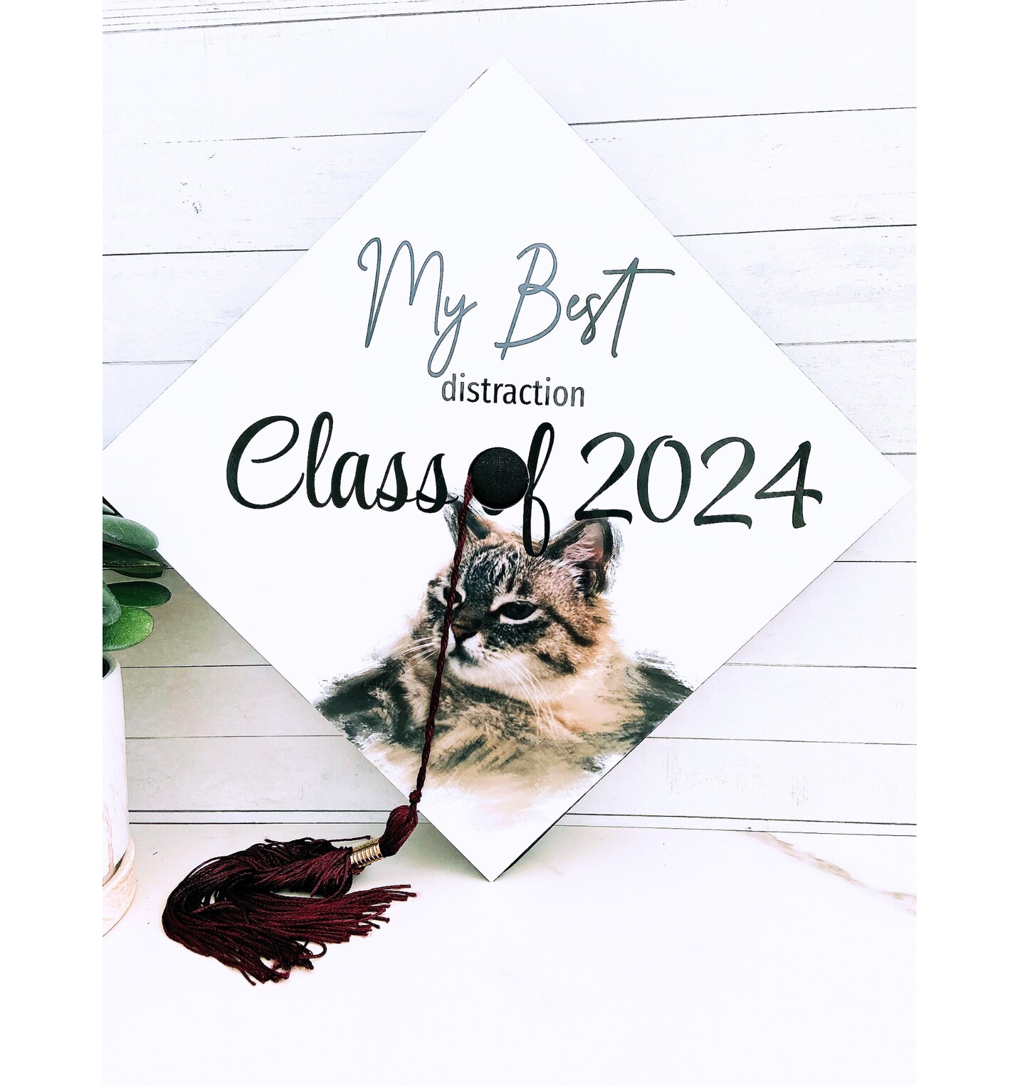 Custom Cat Photo Graduation Cap Topper Decoration Gift For Class of ...