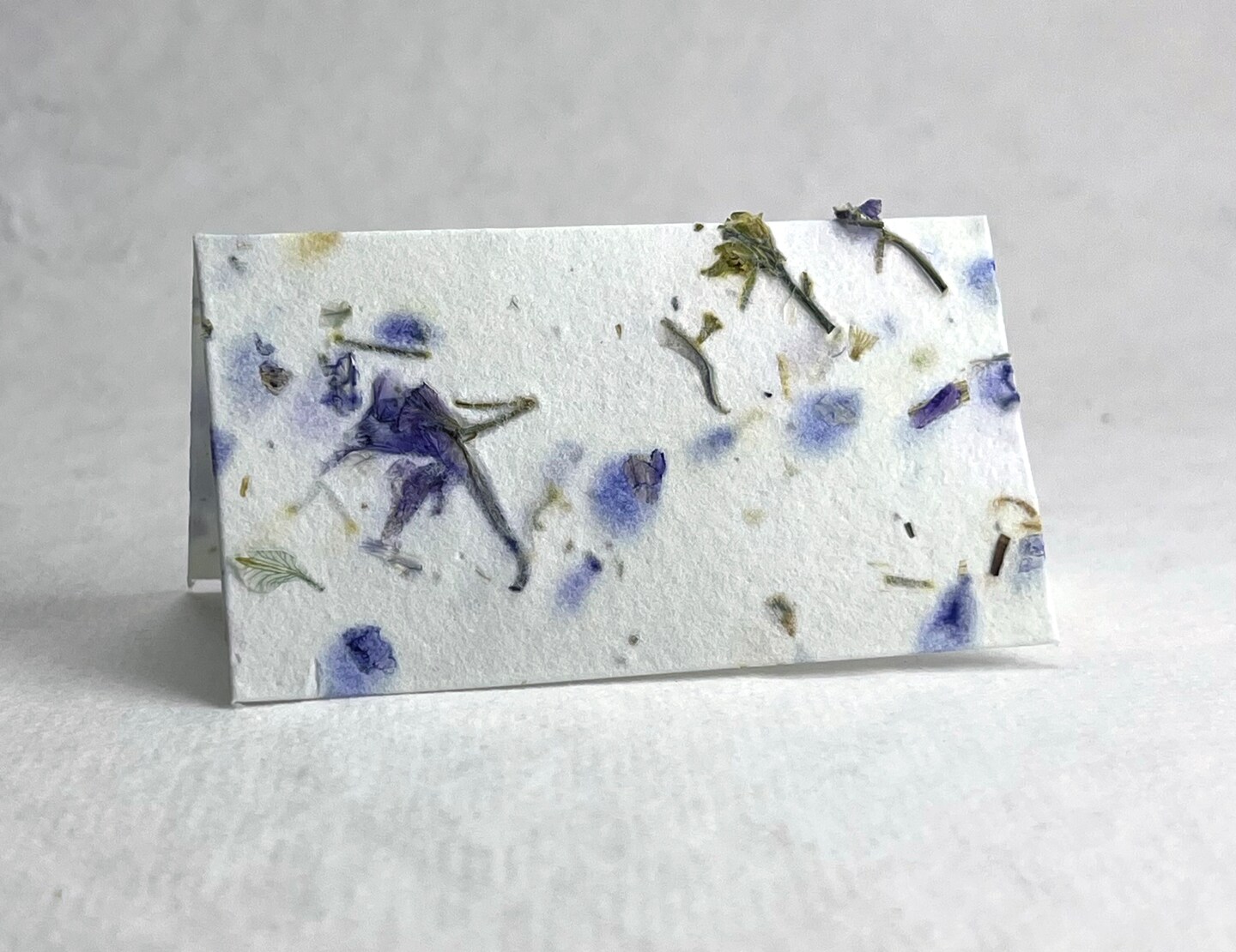 Wildflower Seed Paper Escort Cards - Folding Tent Style Place Setting ...