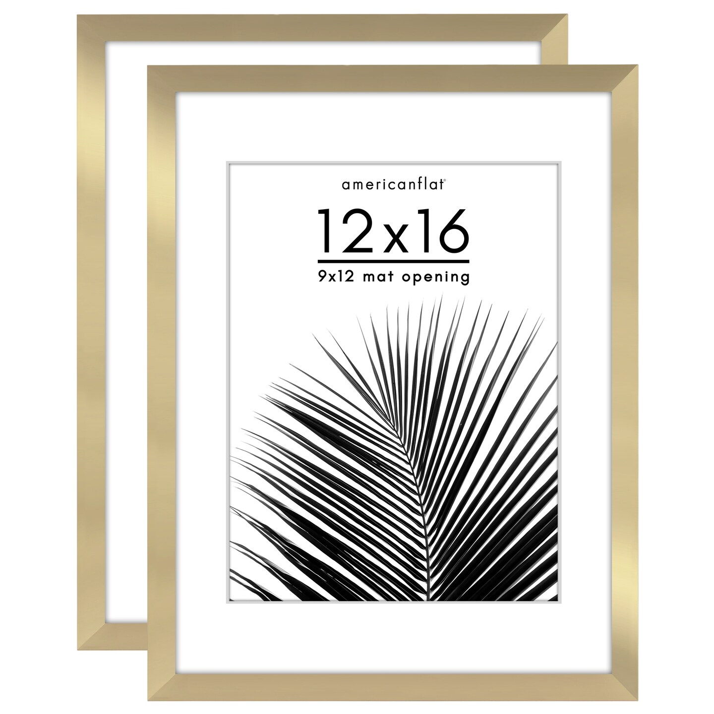 Americanflat 2 Pack of Picture Frames with Mat - Plexiglass Cover ...