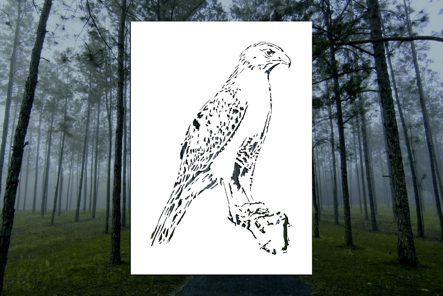 Hawk Reusable Stencil (Many Sizes) | MakerPlace by Michaels