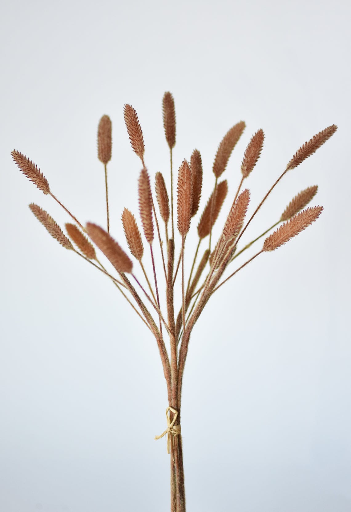 12.5" Faux Brown Reed Bundle | Michaels