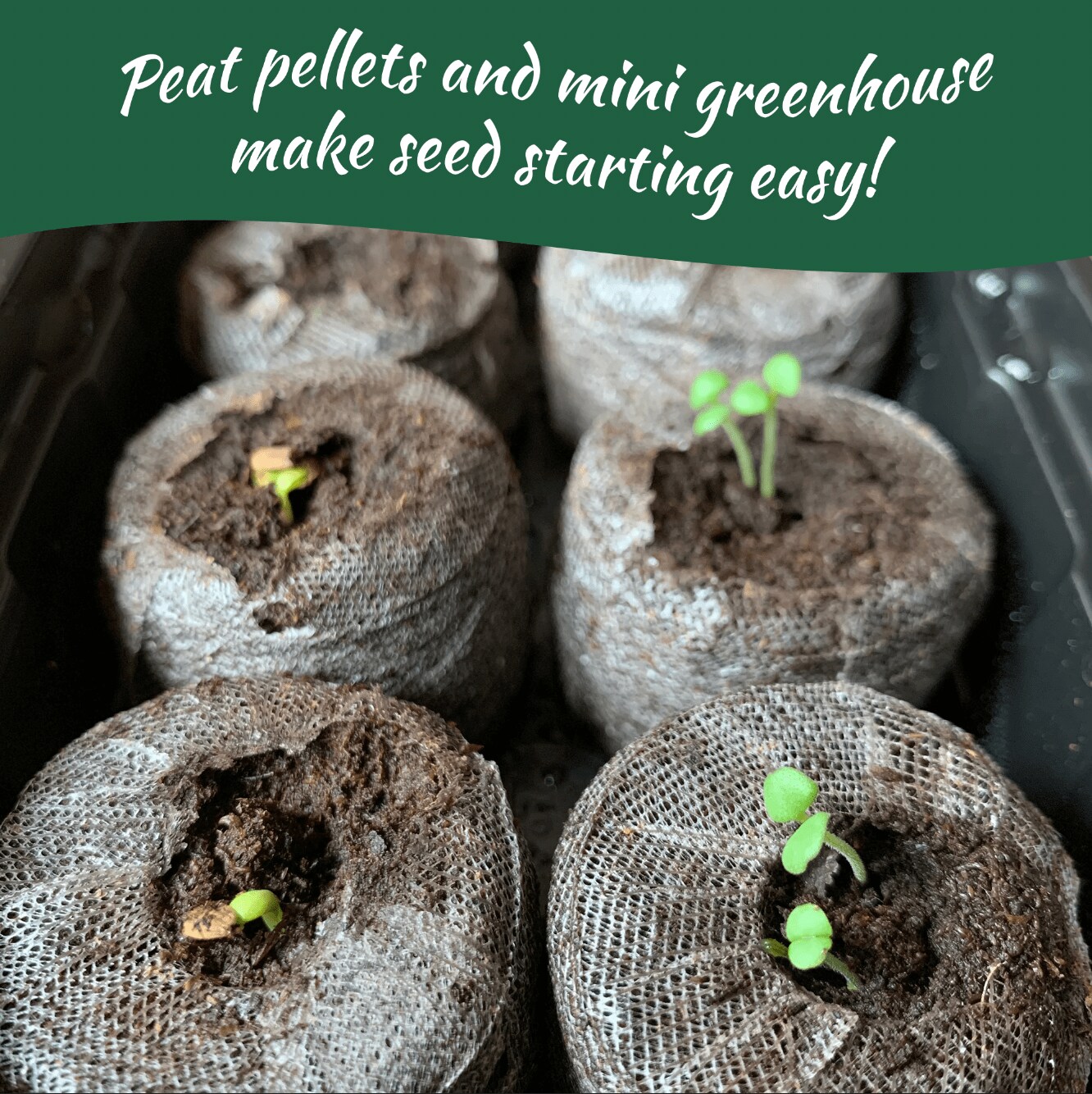 DIY Garden Kit for Kids | Michaels