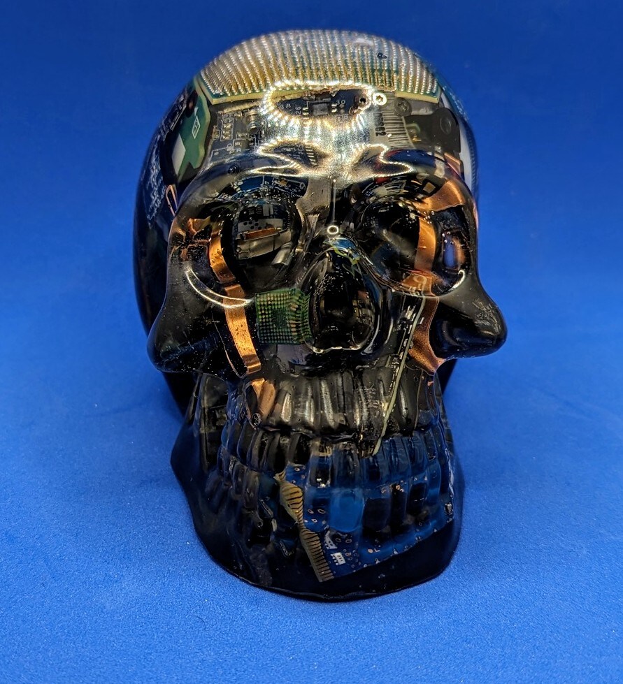 Leap into the Future: Handcrafted Resin Tree Frog with Motherboard ...