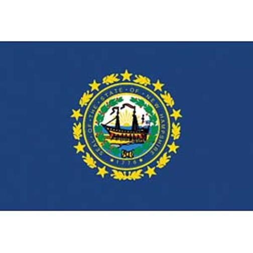New Hampshire Flag with Grommets 2ft x 3ft | Michaels