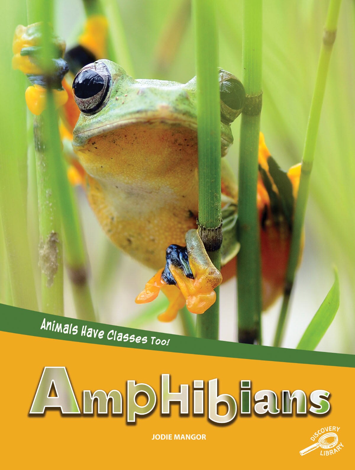 Rourke Educational Media Animals Have Classes Too! Amphibians Reader ...