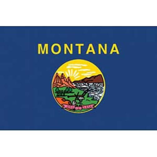 Montana Flag On Stick 4" x 6" | Michaels