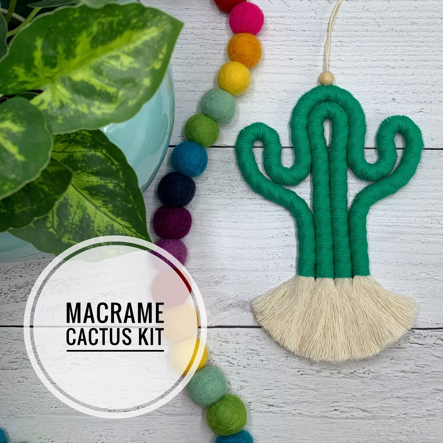 DIY Macrame Cactus Craft Kit Yarn Rope Wall Hanging Kit, Adult Craft ...