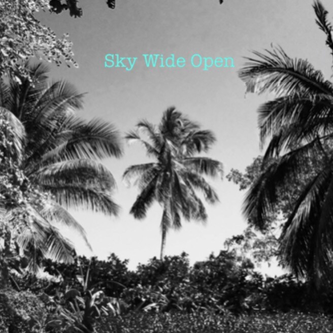 Sky Wide Opened | Storefront | Michaels