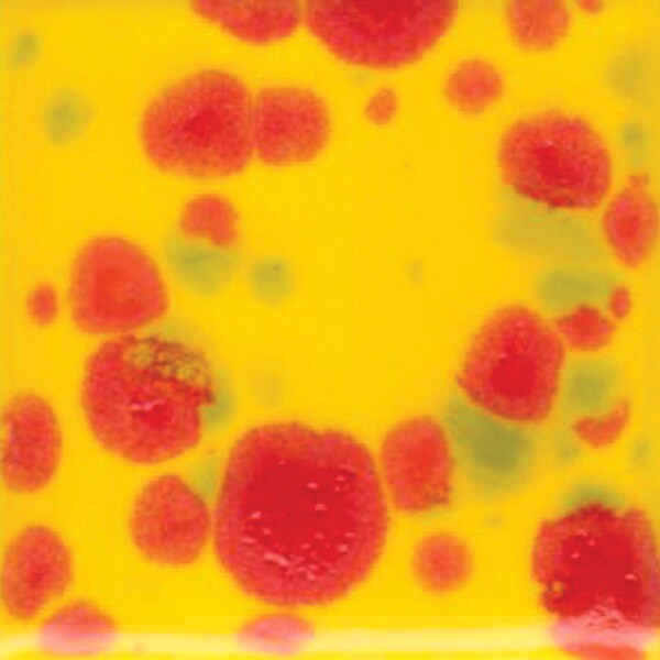 Sax True Flow Colorburst Glaze, Fiesta, 1 Pint | Michaels