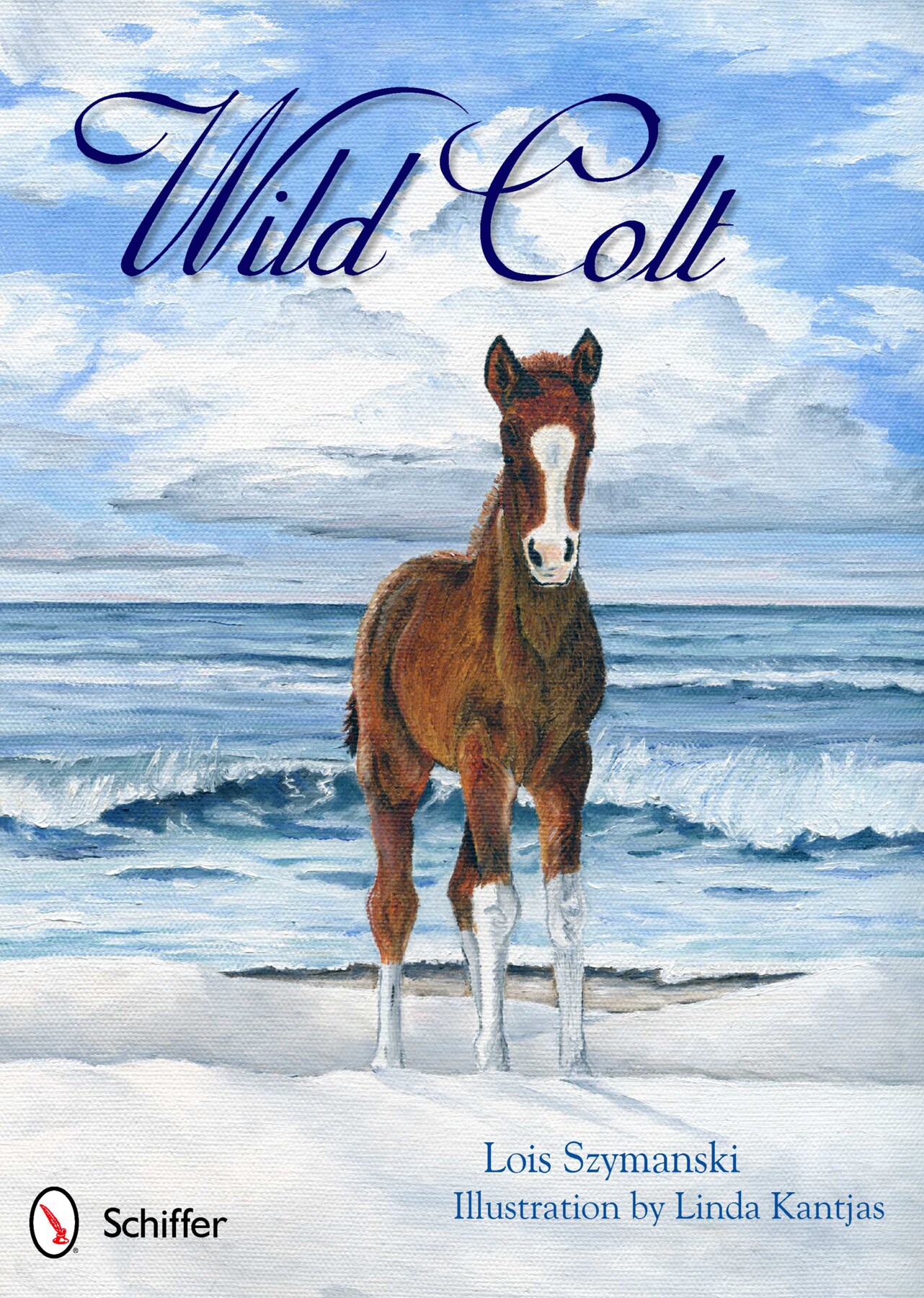 Wild Colt | Michaels