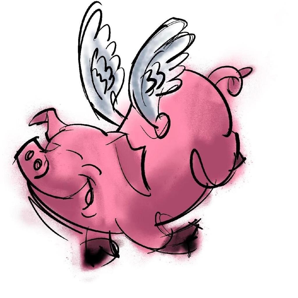 The Loopy Flying Pig | Storefront | Michaels