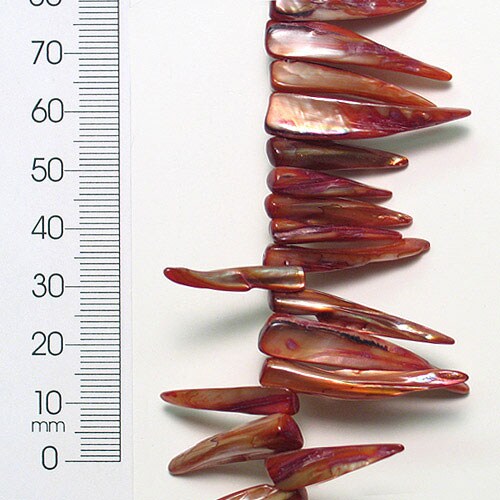 6 Packs of Tinted Shell Spike Beige 2x8" Strand | Michaels