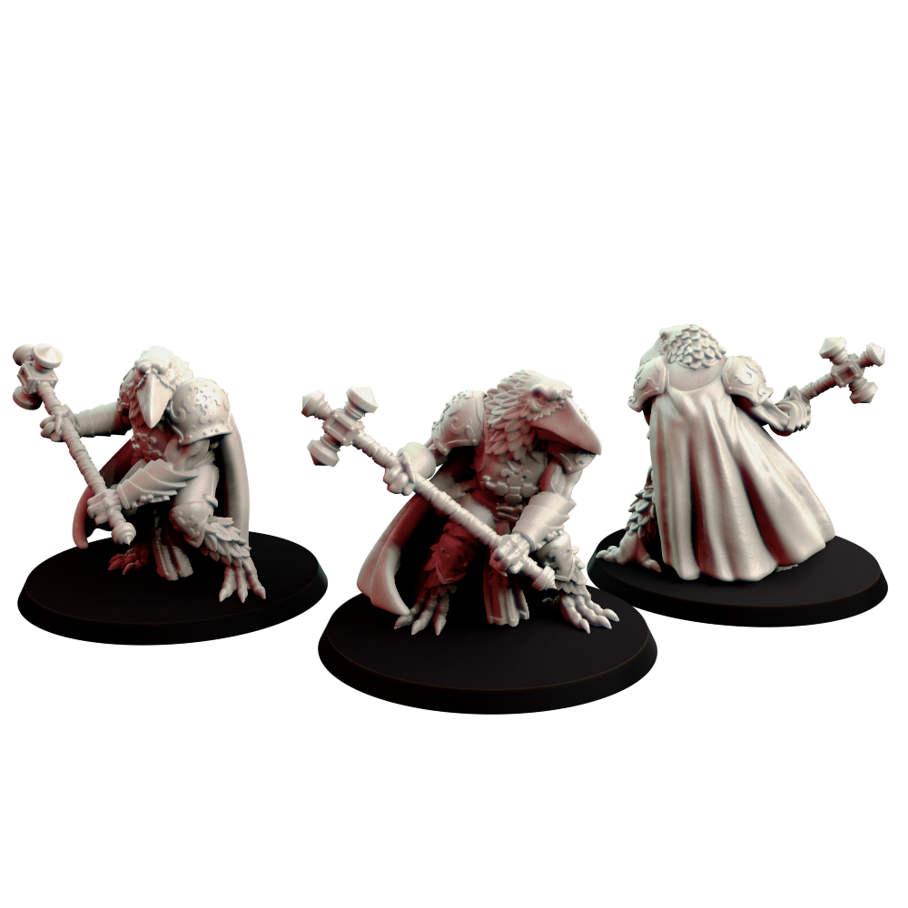 Kenku (crow man) Cleric from Cross Lances Studio. Total height apx ...