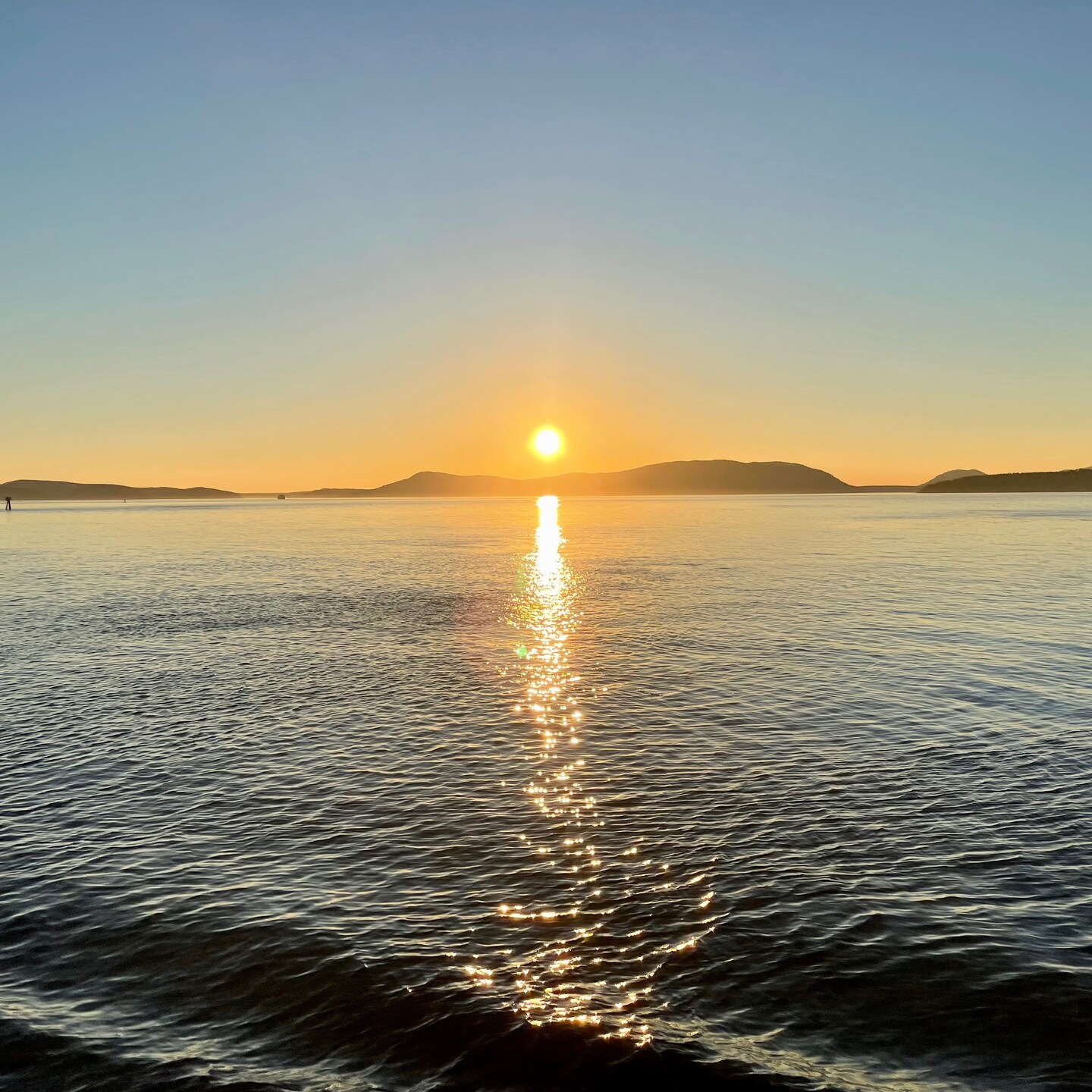 Wicked Designs | Storefront | Michaels