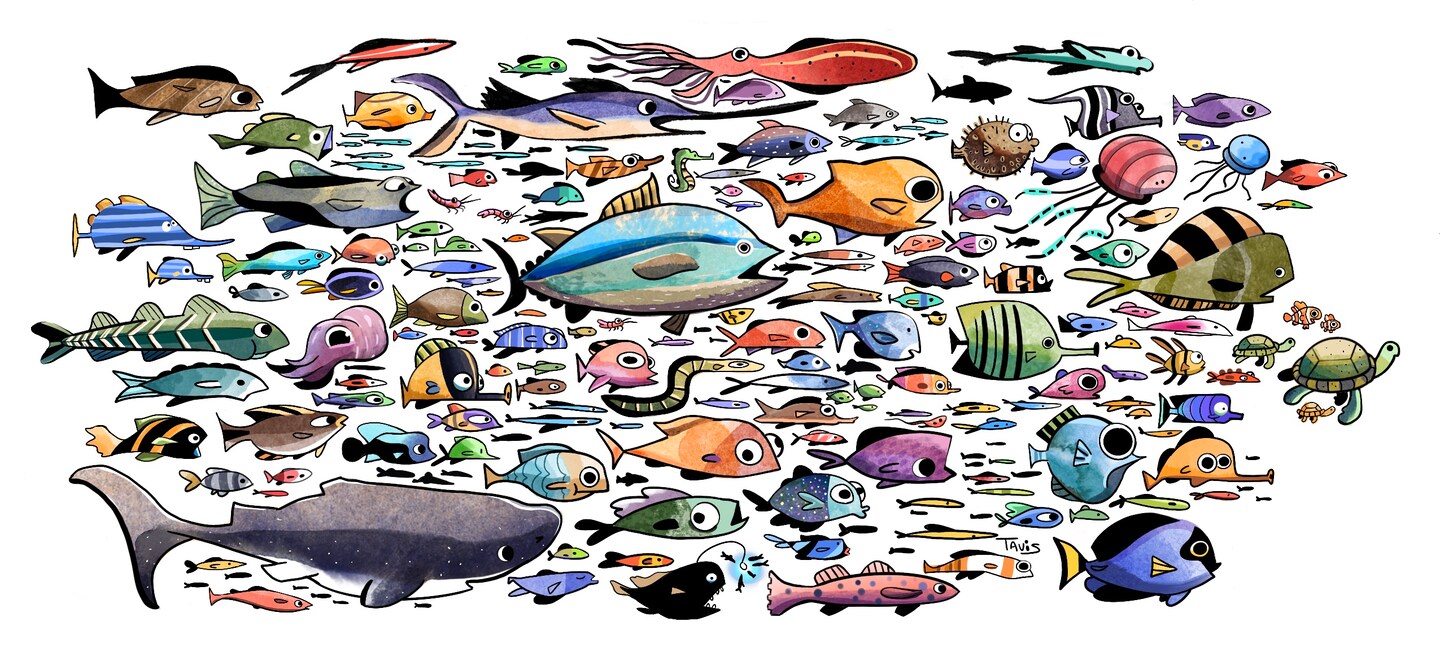 Dan Tavis Illustration | Storefront | Michaels