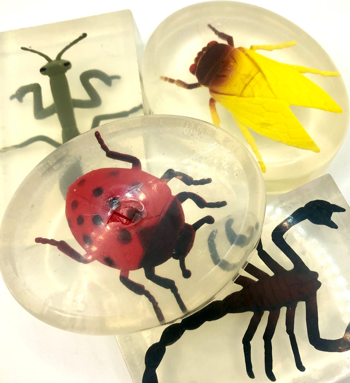 Bug Soap Set with Lady Bug, Praying Mantis, Scorpion, etc | MakerPlace ...