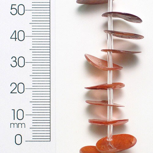 Button Tinted Shell Beads - Beige - 15mm - 2 x 8" Strand | Michaels