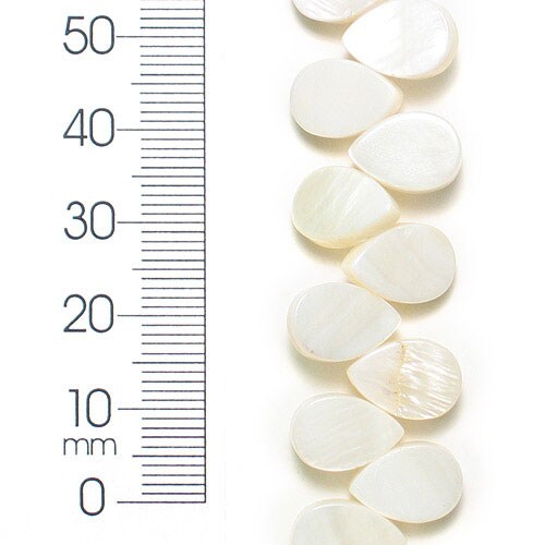 6 Packs of Tinted Shell Trdrp Natural 2x8" Strand | Michaels