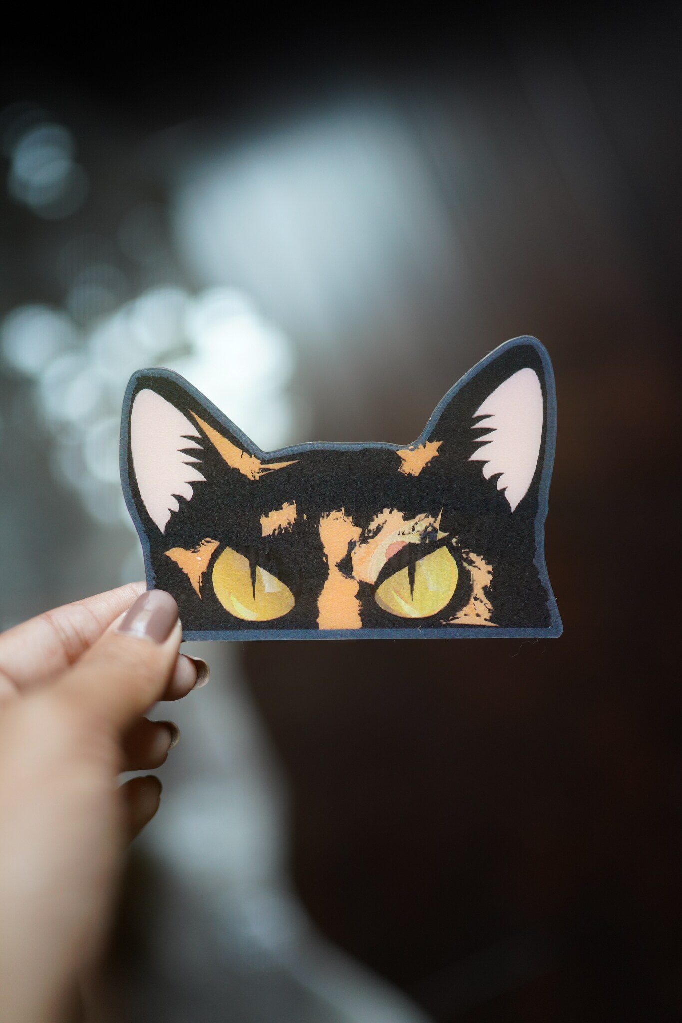 Tortoiseshell Tortie Cat Peeker: 3D Motion Sticker for True Cat Lovers ...