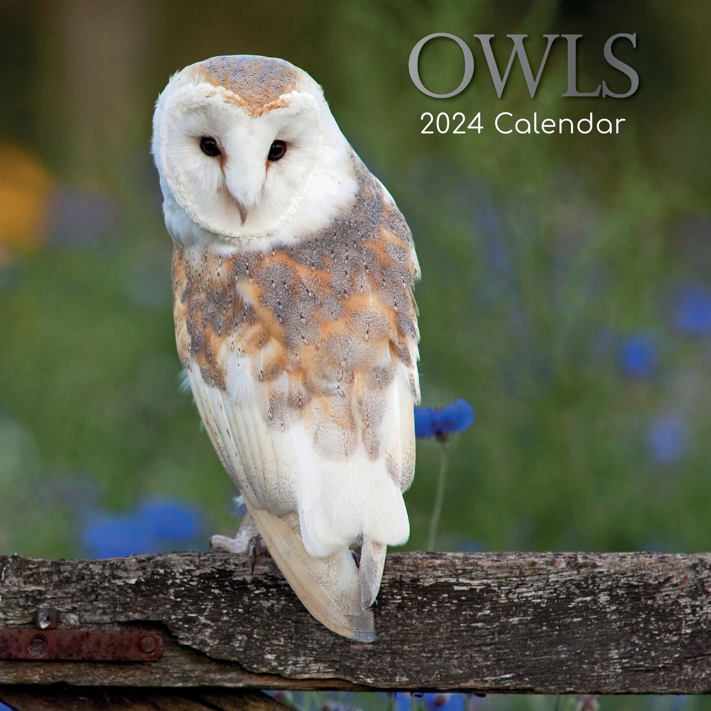 2024 Square Wall Calendar, Owls, 16-Month Animals Theme with 180 ...