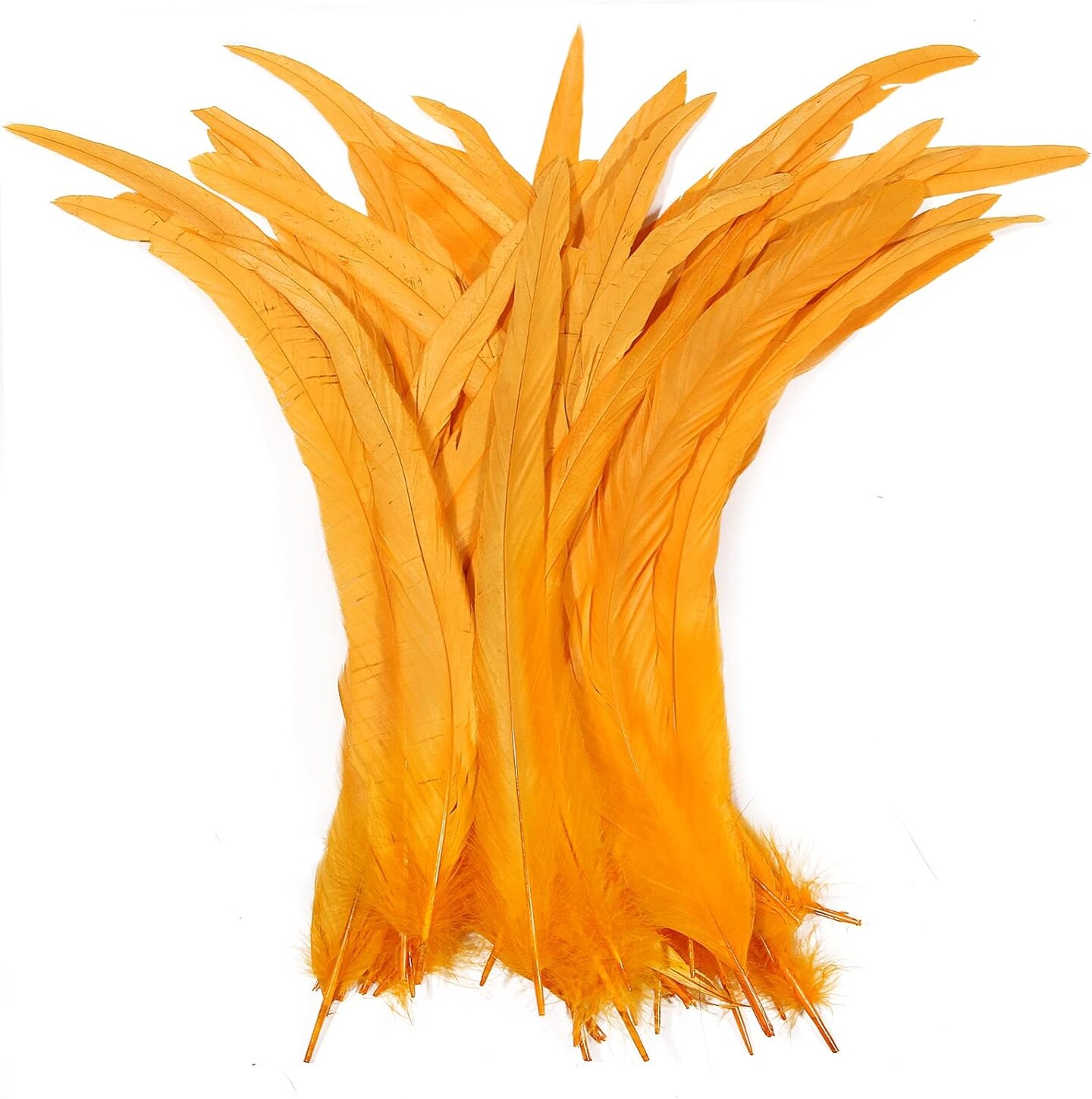 Elegant Bulk Feathers | Michaels