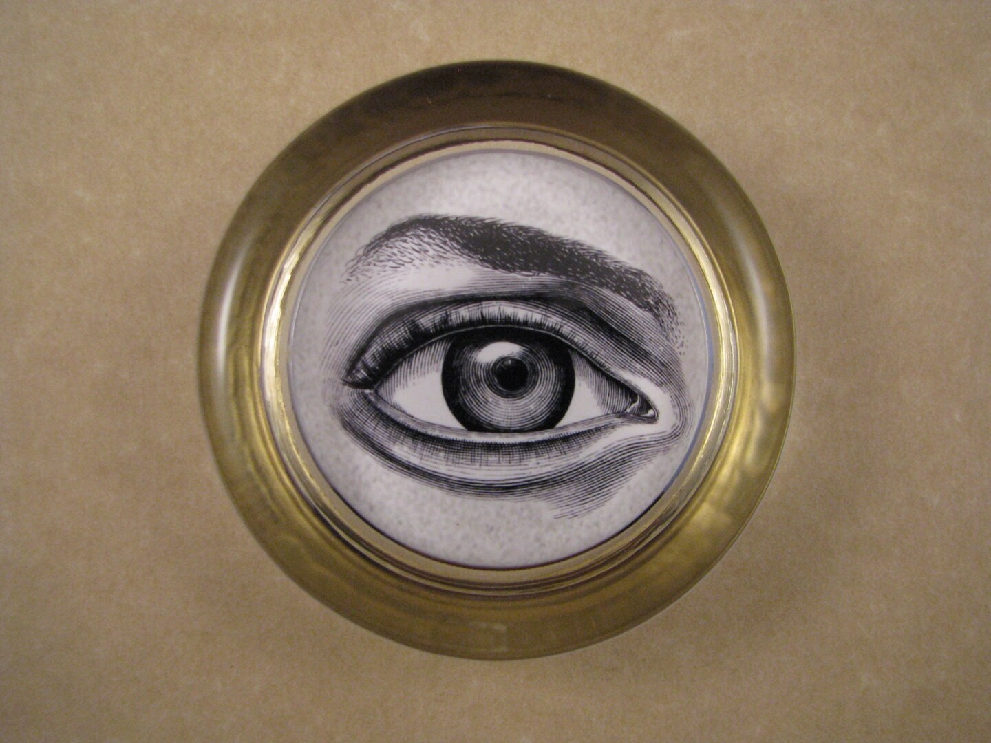 Left Eye Paperweight, Eye Art, Eye Illustration, Glass Paperweight ...