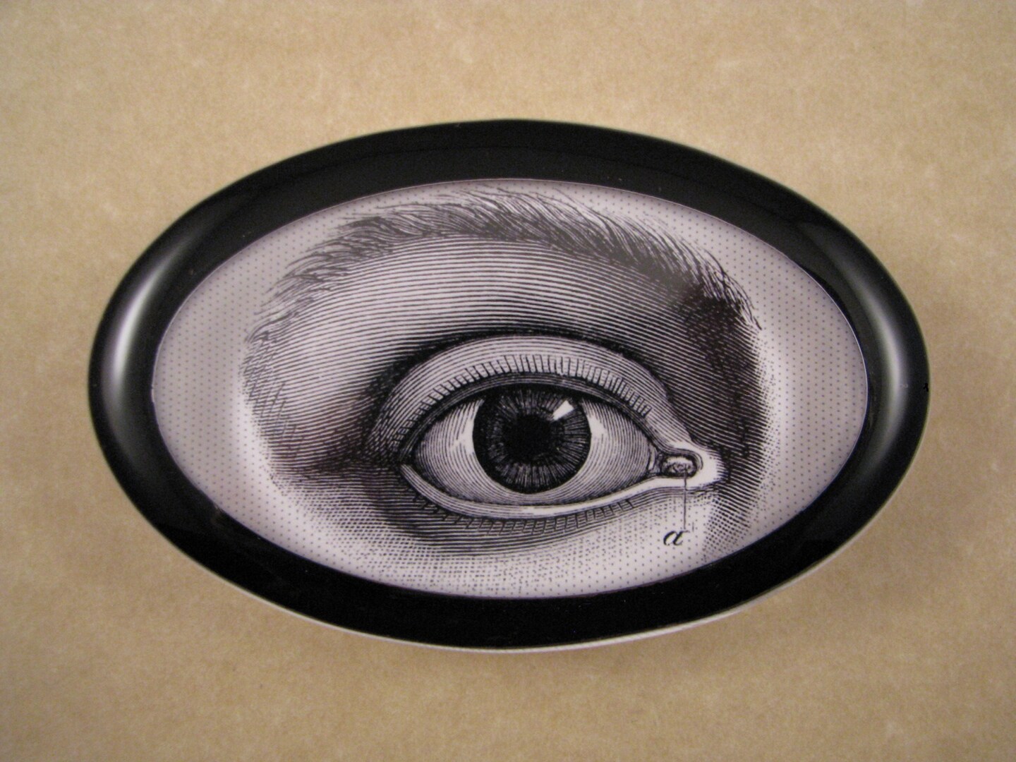 Left Eye A Paperweight, Eye Art, Eye Illustration, Glass Paperweight ...