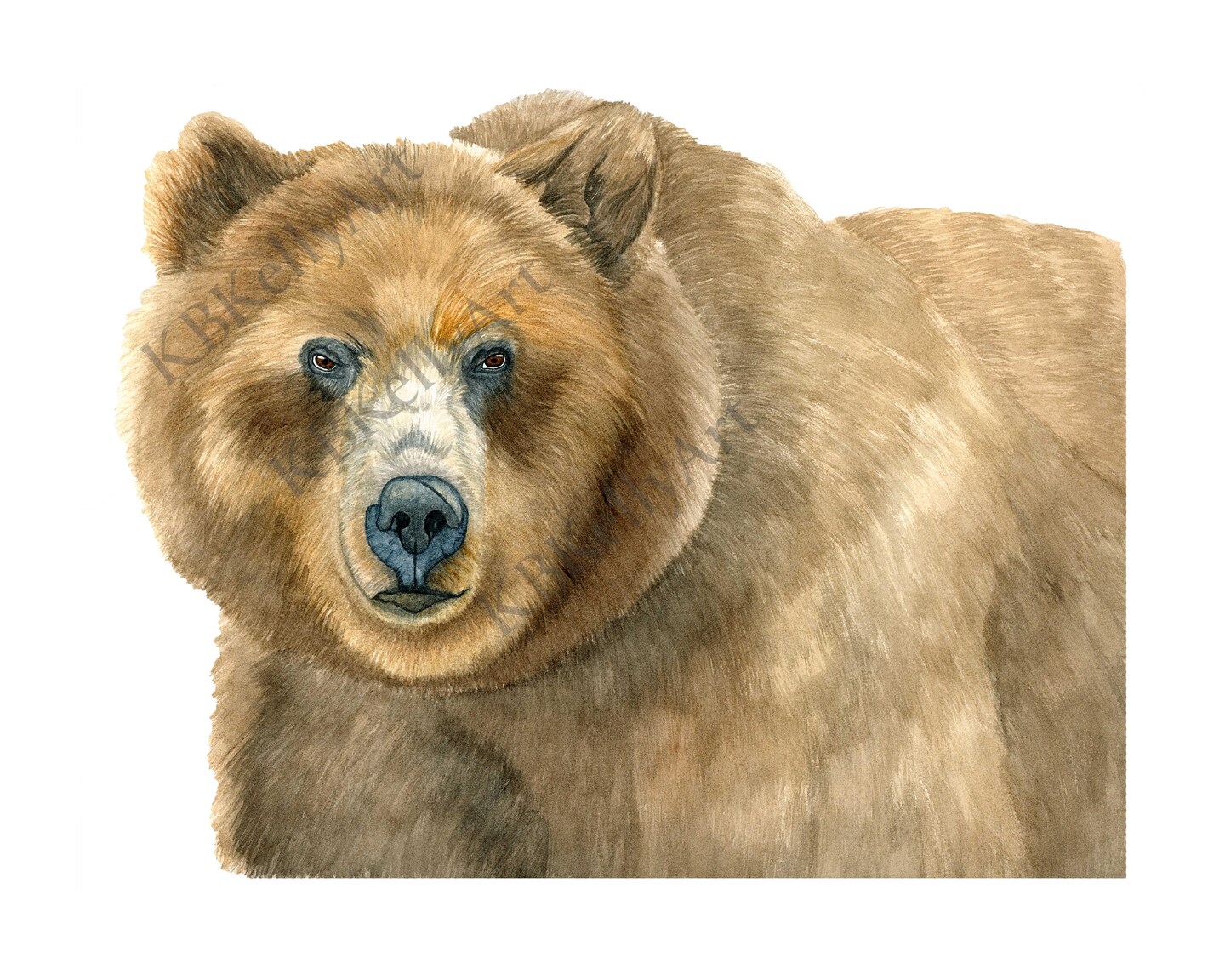 Brown Bear Watercolor Print Grizzly Bear Art Print Bear Home Decor ...