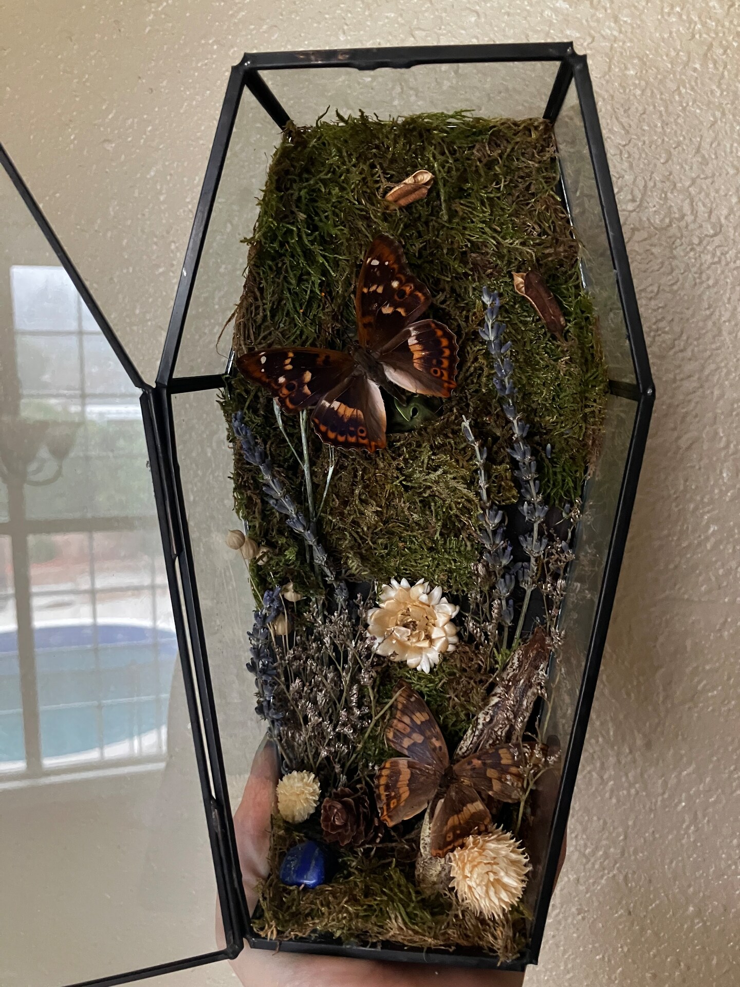 Glass Coffin Terrarium | MakerPlace by Michaels
