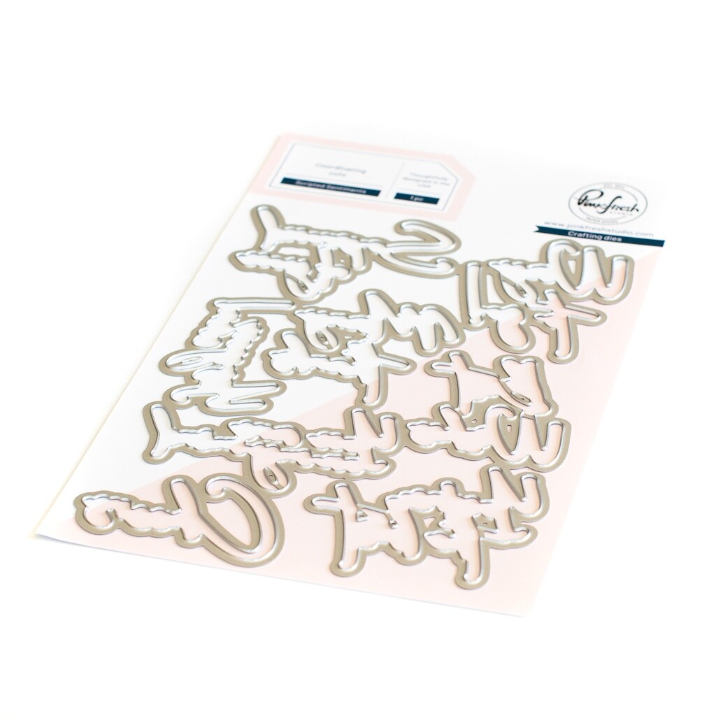Pinkfresh Studio Die Set-Modern Script Sentiments | Michaels