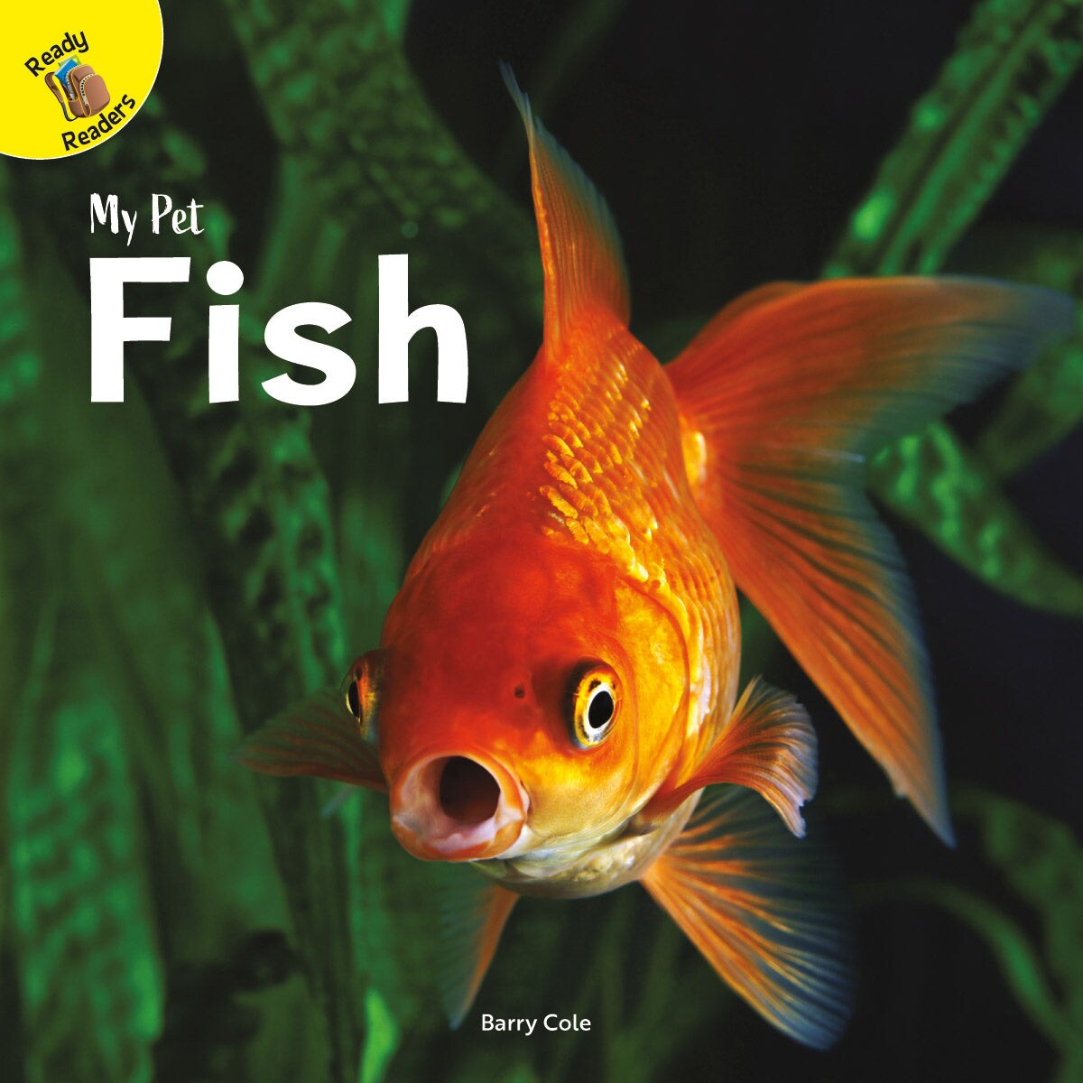 Rourke Educational Media My Pet Fish | Michaels