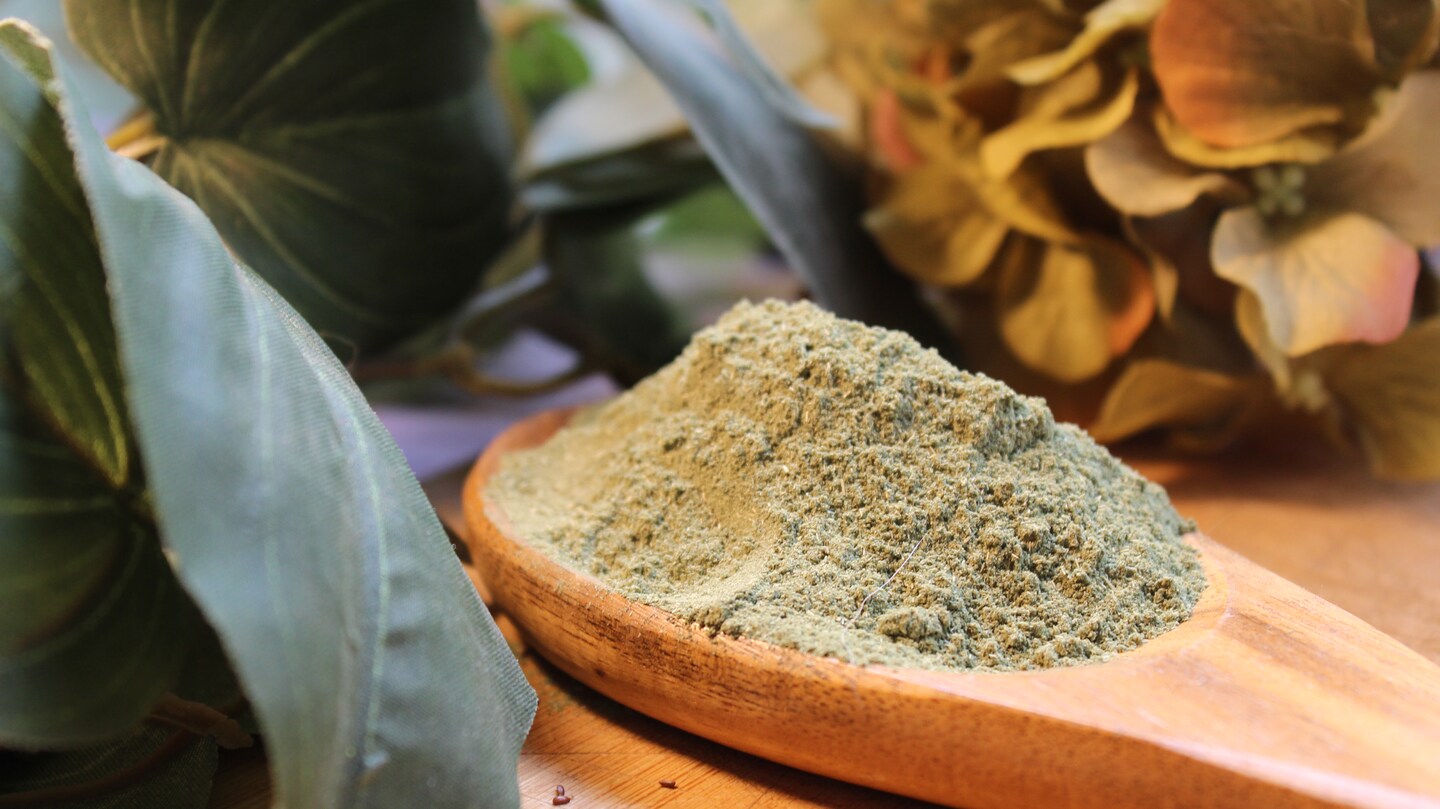 Andrographis Powder Herb, Green Chiretta | MakerPlace by Michaels